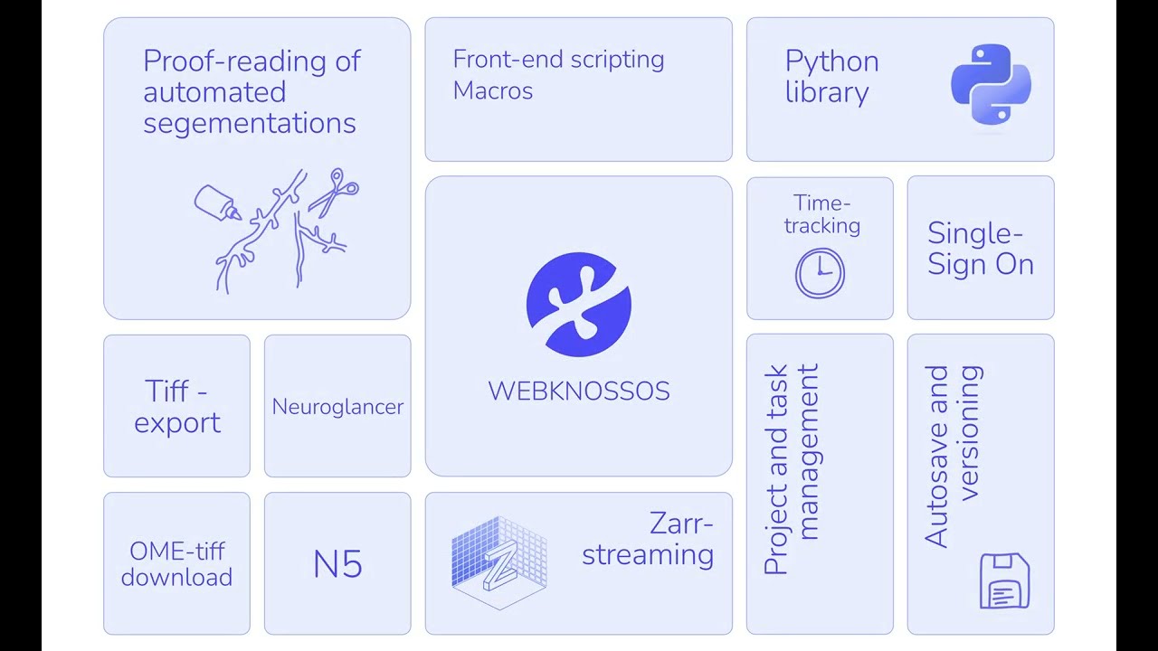 Introducing WEBKNOSSOS