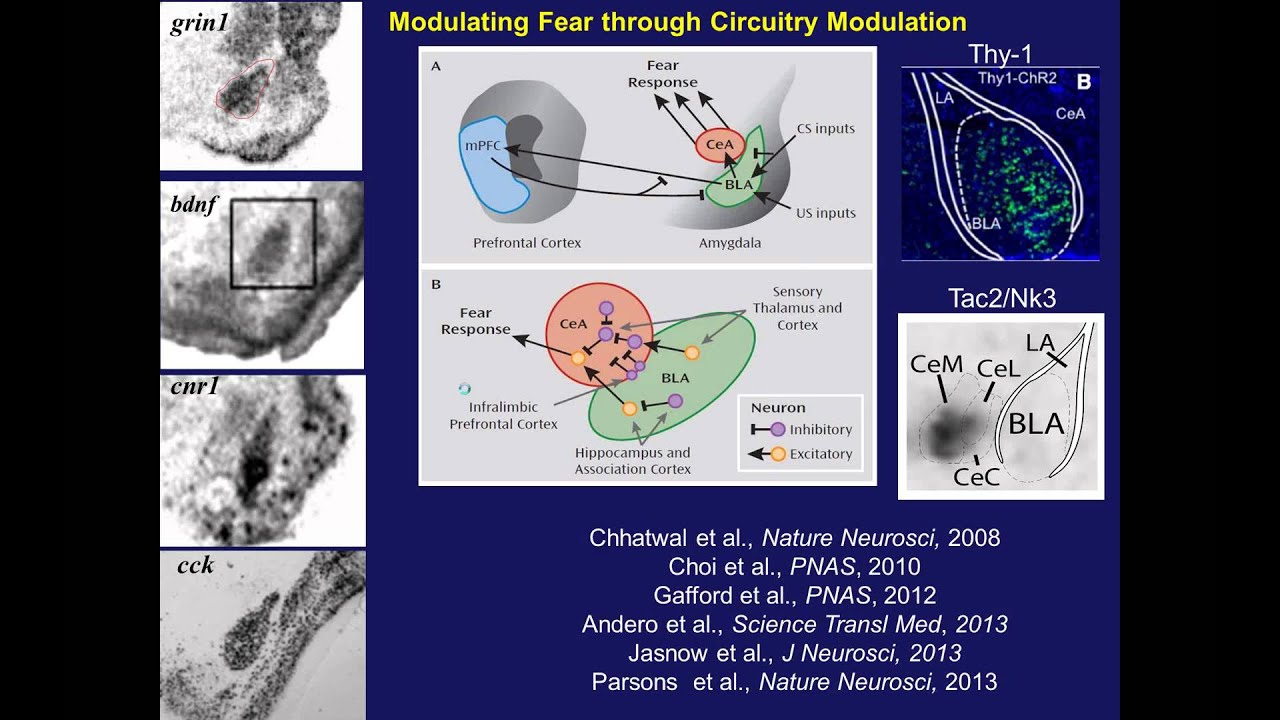 Updates on the Science Behind PTSD
