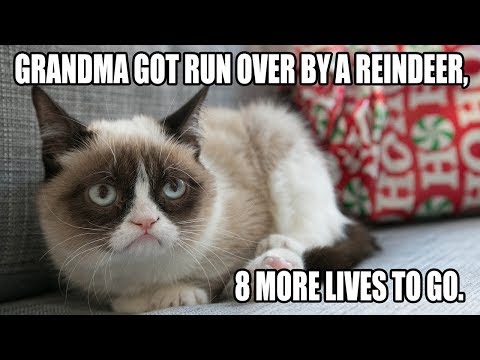 PicTube - 45 Funniest Grumpy Cat Memes Compilation