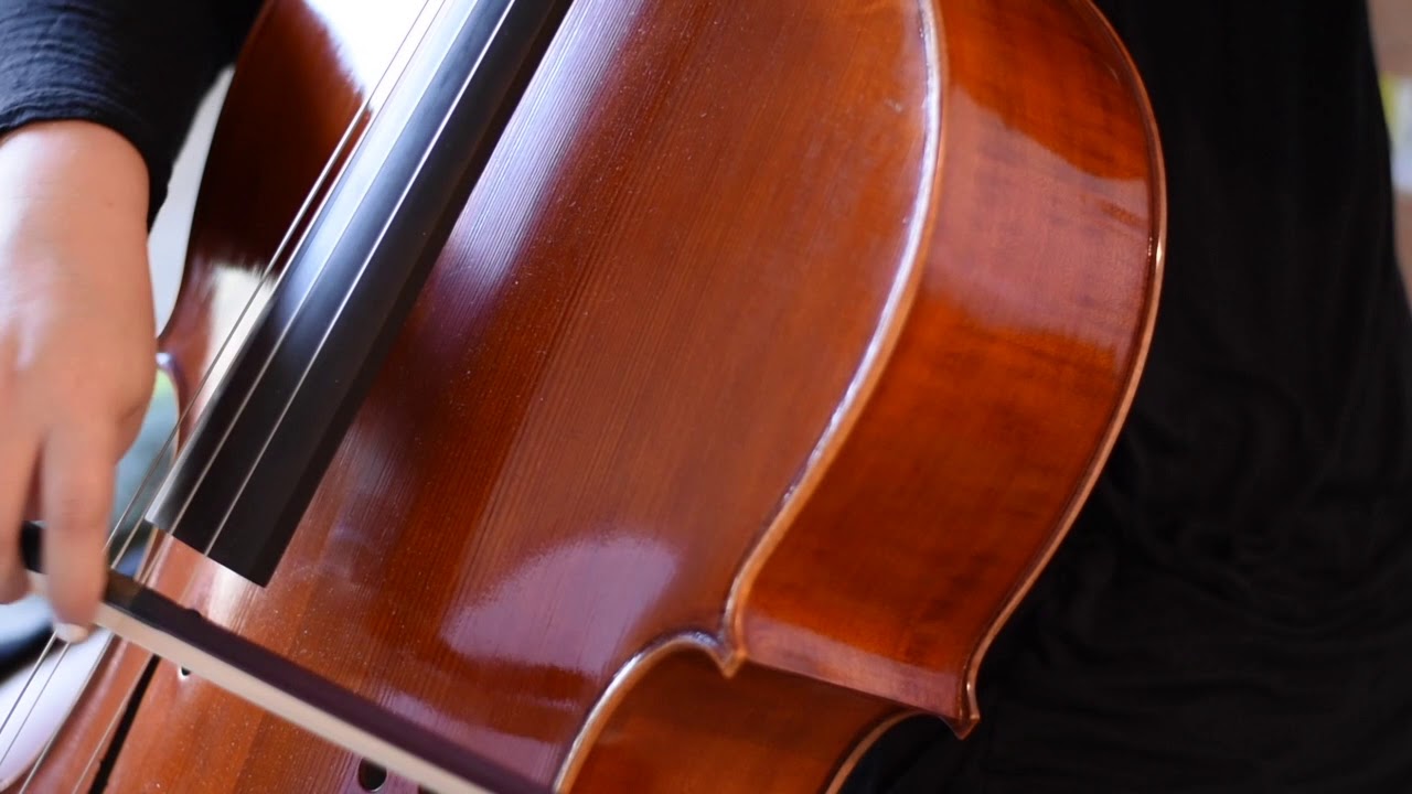 Hire Classical Cellist - Cellist in Dallas, Texas