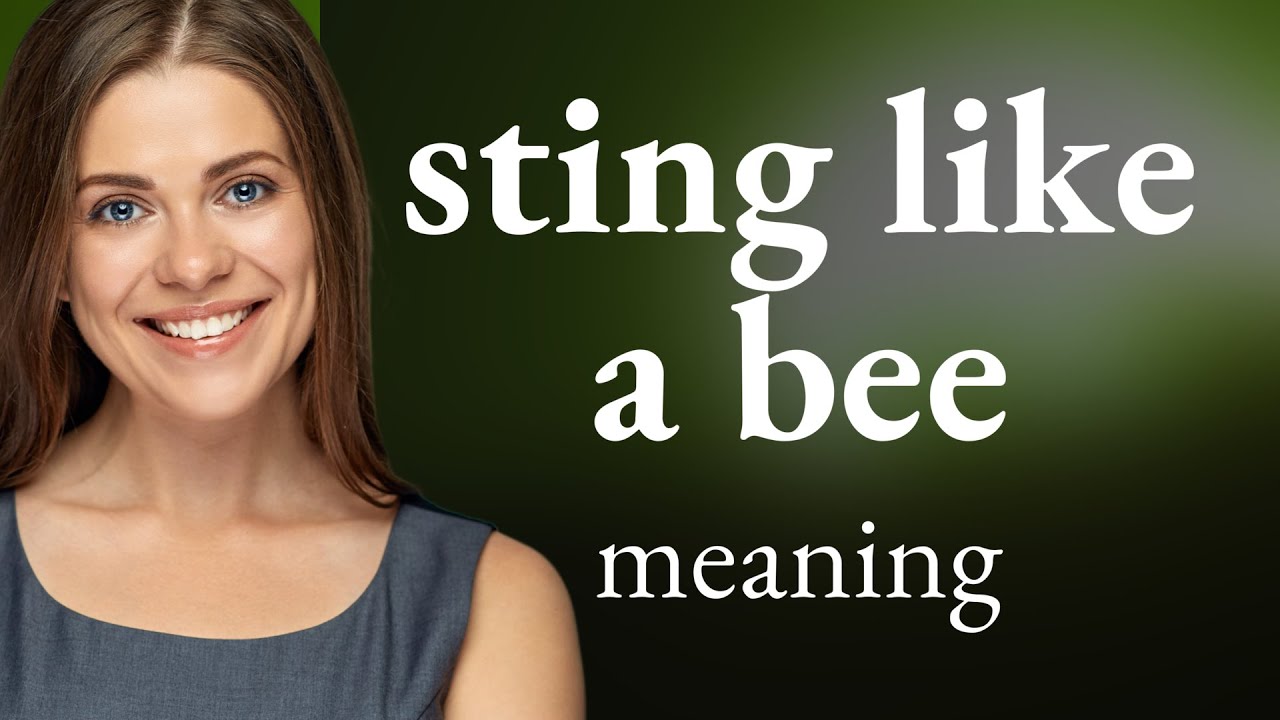 Understanding the Phrase 