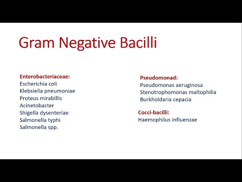 How to Pronounce Gram -ve Bacilli: Enterobacteriaceae, Pseudomonad, Cocci-bacilli.