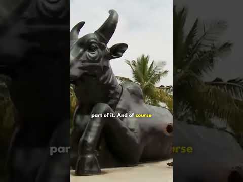 the symbolism of nandi