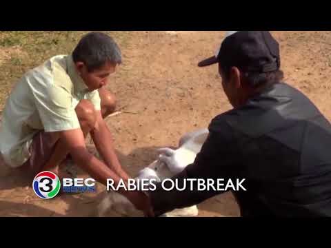 RABIES OUTBREAK | Ch3Thailand