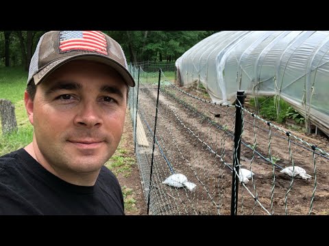 No More Deer in the GARDEN! Premier1 PermaNet Fence