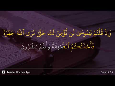 Al-Baqarah ayat 55