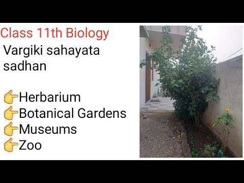Explain Herbarium, Botanical Gardens, Museums, Zoological park(Zoo)- By Sonali Sheela Baghel
