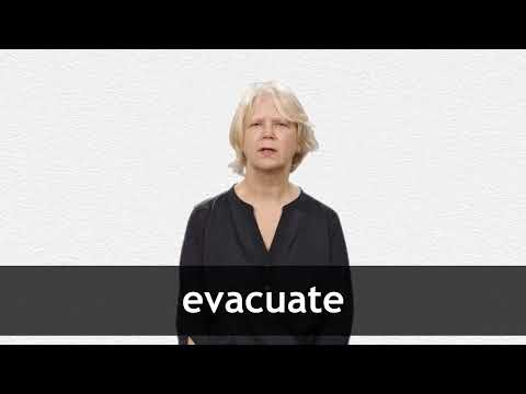 EVACUATE 释义 | 柯林斯英语词典