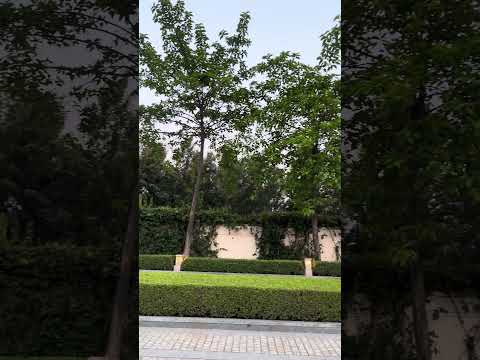 The oberoi sukhvilas, New chandigarh Recent visit … #Must visit #oberoi Resorts #chandigarh