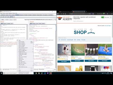 Blind SQL injection with conditional responses (Video solution)