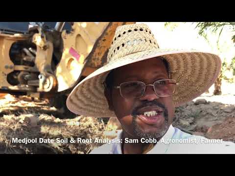 Black Gold: A Conversation with Sam Cobb – Interview – Sapelo Square ...