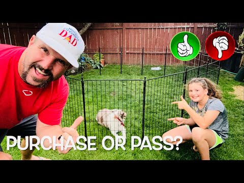 Is The FXW MiniPaws Playpen The Best Indoor & Outdoor Corral for Puppies & Small Dogs?
