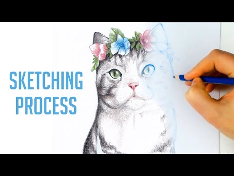 How to Draw a Cat - Easy Step by Step Tutorial