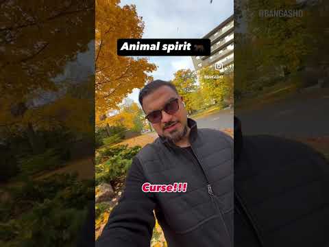 Startup Founder are Animal Spirited according to the economic definition