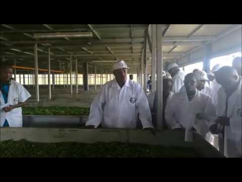 Semaine du Thé: Visite des grandes réalisations de l’OTB: Usine de ...