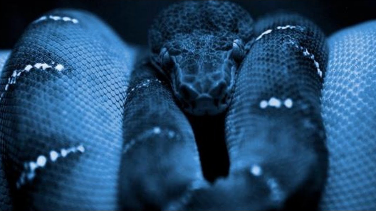 Python Password Checker Tutorial - MD5/Hash