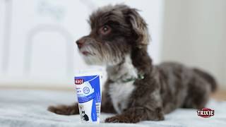 Mast na ochranu tlapek psa