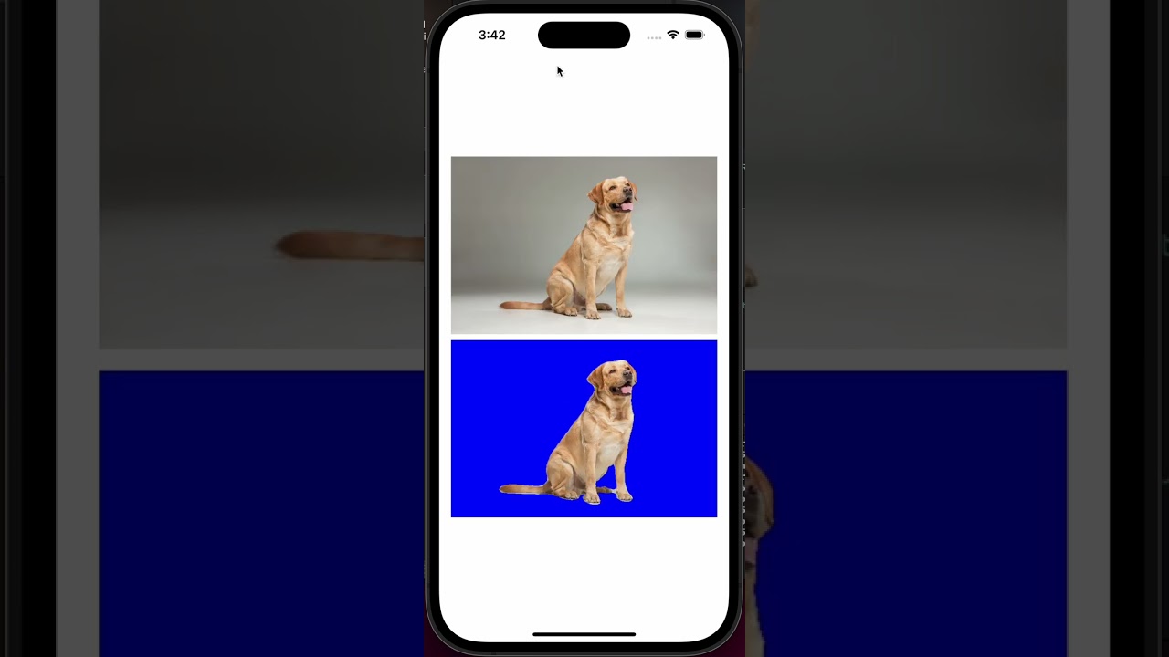 How to Remove Background of Image Using SwiftUI (Demo)