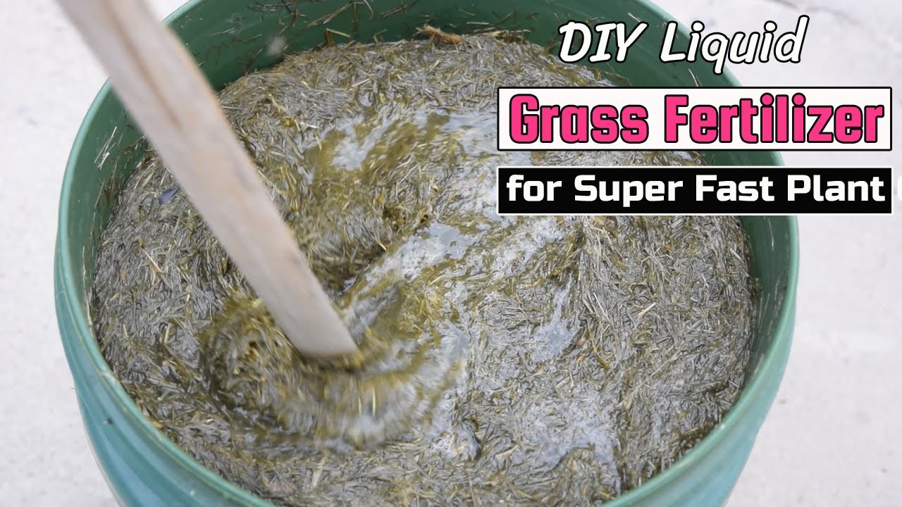 DIY Liquid Grass Fertilizer for Super Fast Plant Growth