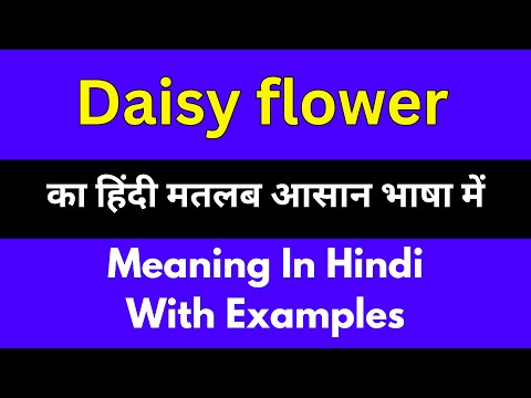 Daisy flower meaning in Hindi/Daisy flower का अर्थ या मतलब क्या होता है.
