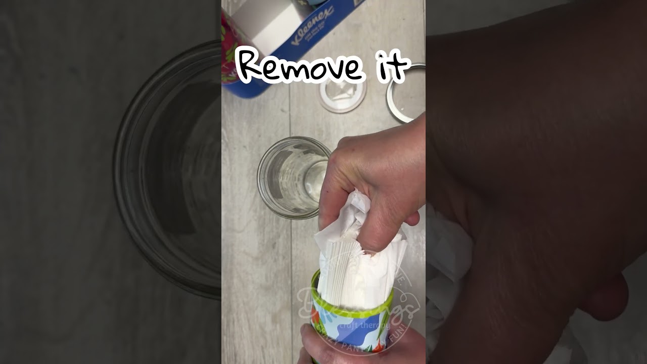 Easy Tissue Holder Hack You Need to Try!