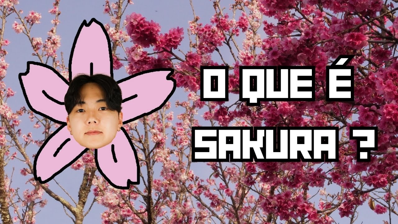 SAKURA - The Story of the Cherry Blossom and its Meaning