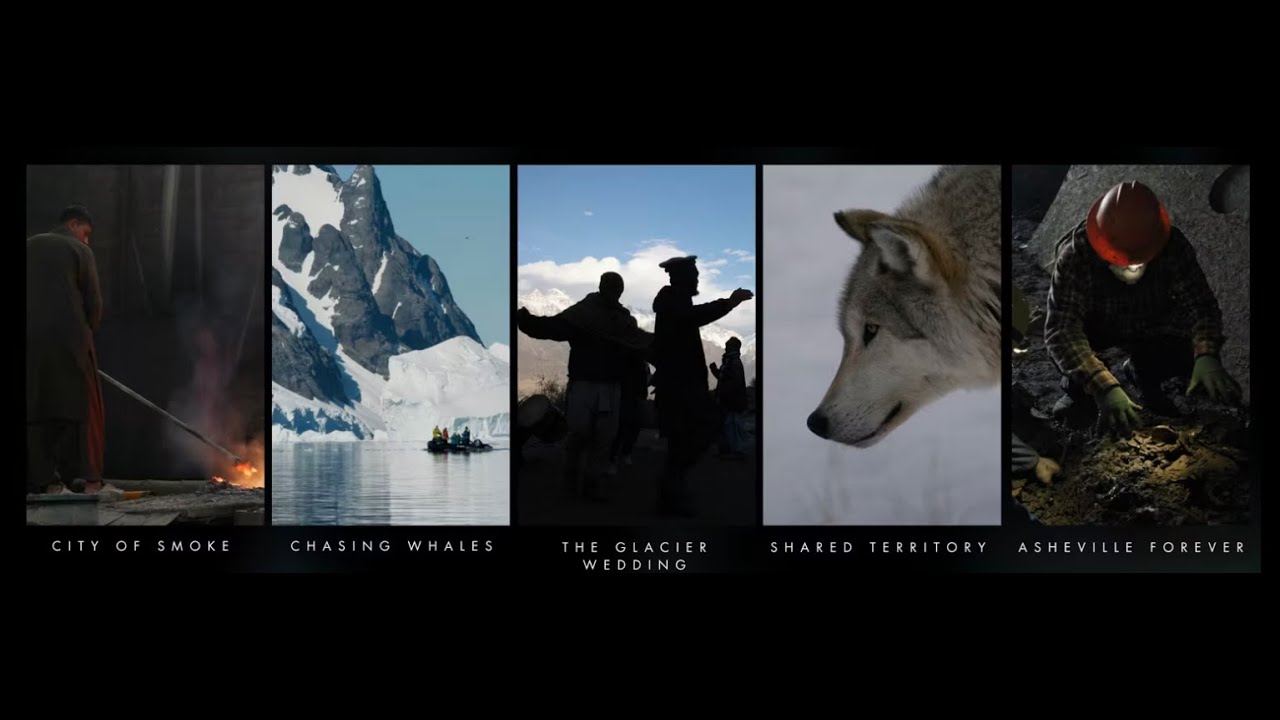 Watch the Class of 2025 Student Climate Documentary Trailers