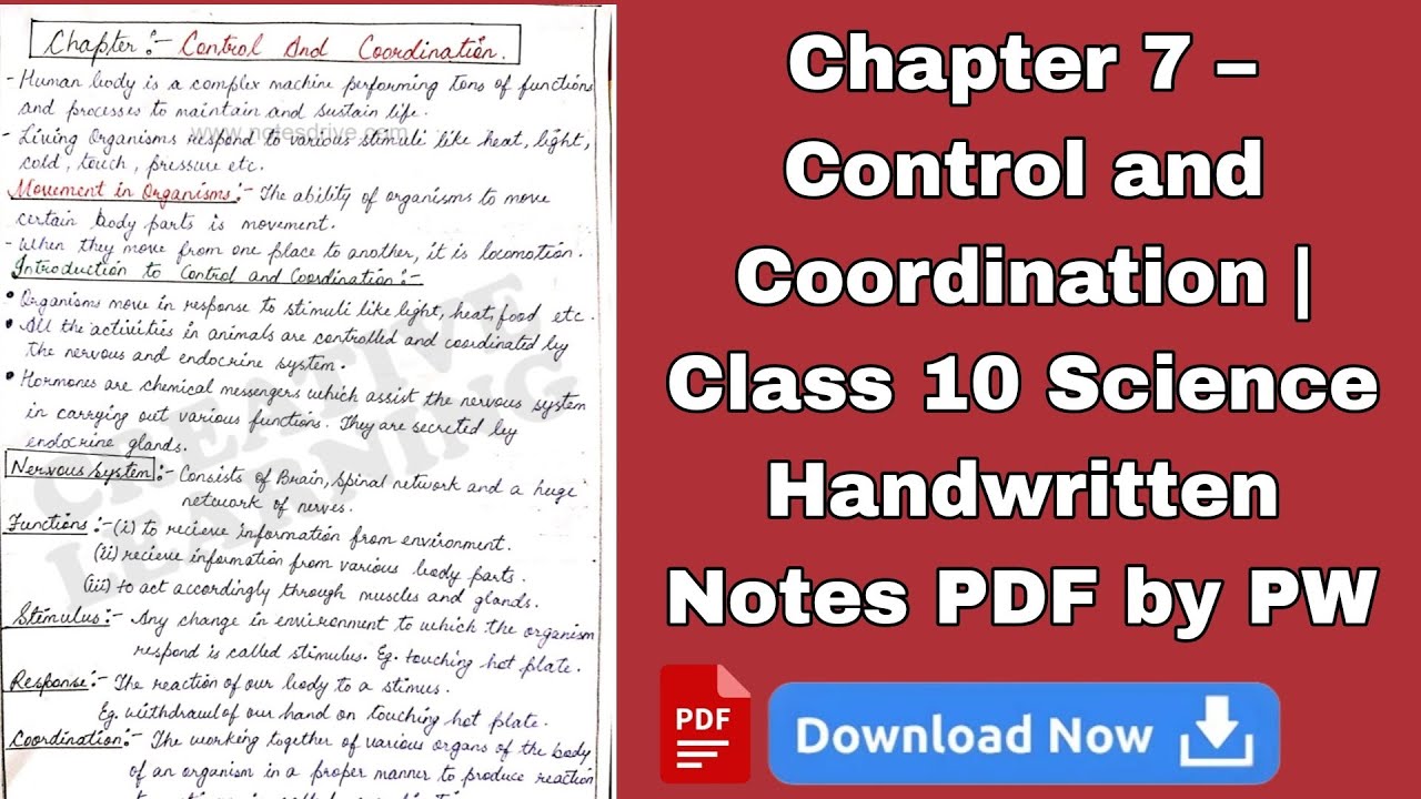 Chapter 7 – Control and Coordination | Class 10 Science Handwritten Notes PDF by PW