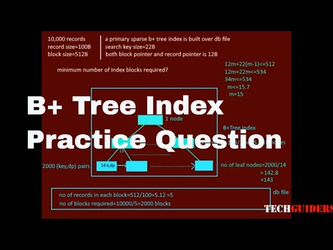 B+ Tree Practice Question 4