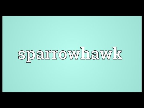Sparrowhawk Meaning