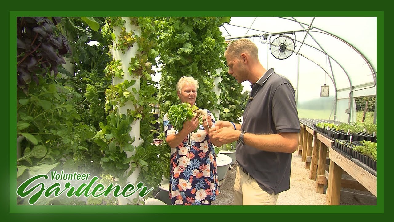 Aeroponics | Volunteer Gardener
