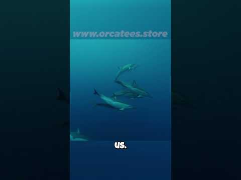 🤯 Dolphins: Mammals, Not Fish?! 🤯 This Fact Will Blow Your Mind!