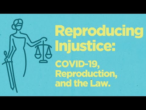 Panel Two: Pregnancy and Childbirth