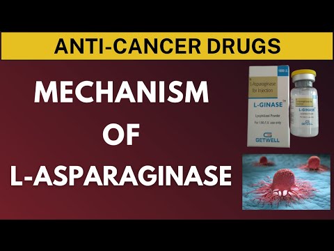 L-Asparaginase Injection - L-ASAP Latest Price, Manufacturers & Suppliers