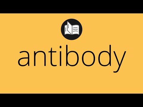 What ANTIBODY means β’ Meaning of ANTIBODY β’ antibody MEANING β’ antibody DEFINITION