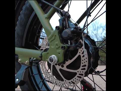 Rattan LM 750w Ebike 1x1