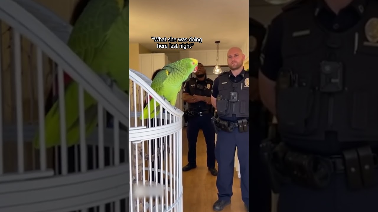 When the Parrot Knows Too Much