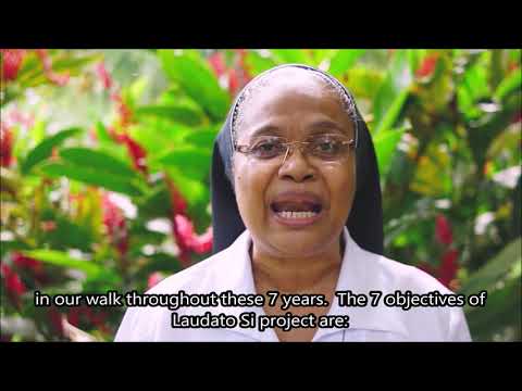 Invitación para el Lazamiento Objetivos Laudato Si - Congregacional (English/Spanish)