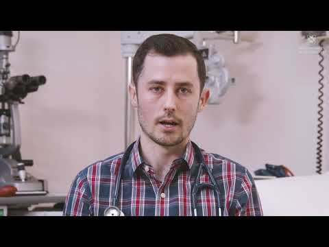 Medical Career Pathways - Endocrinology
