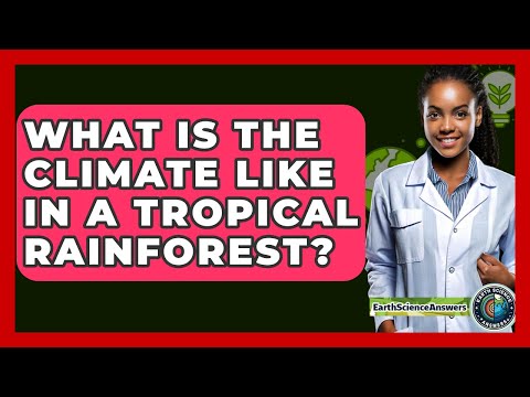 What Is The Climate Like In A Tropical Rainforest? - Earth Science Answers
