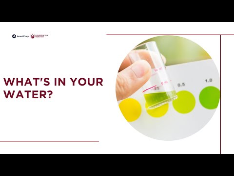 What's in Your Water?