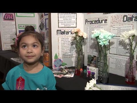 Young students show off their STEAM skills at San Jose showcase