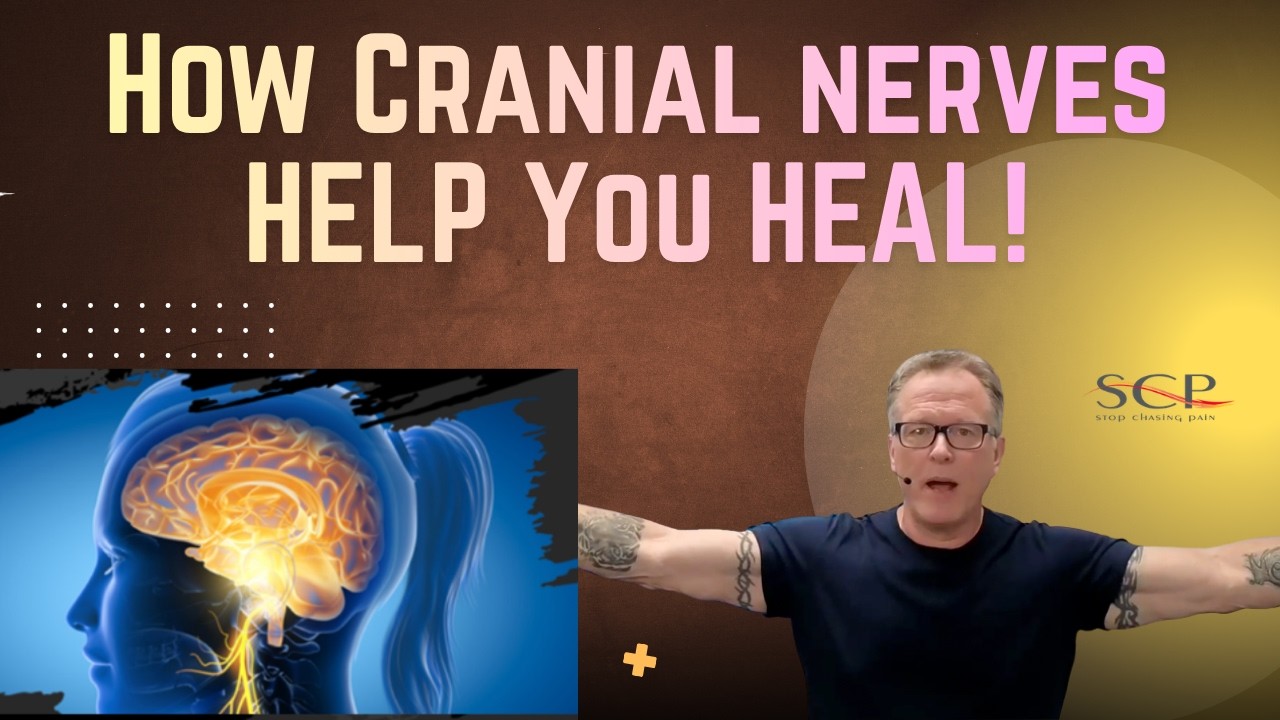 How Cranial Nerves Help You Heal