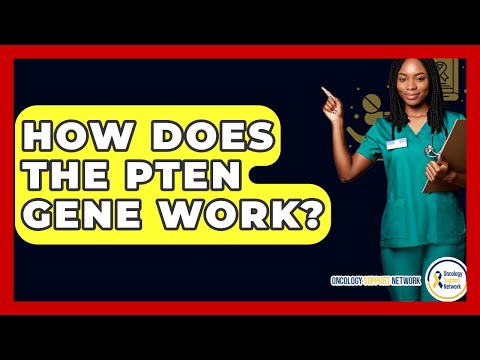 How Does The PTEN Gene Work? - Oncology Support Network