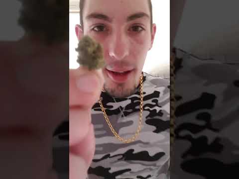 My honest cbd flower review (banana bio hemp flower)