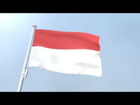 Indonesia Waving Flag