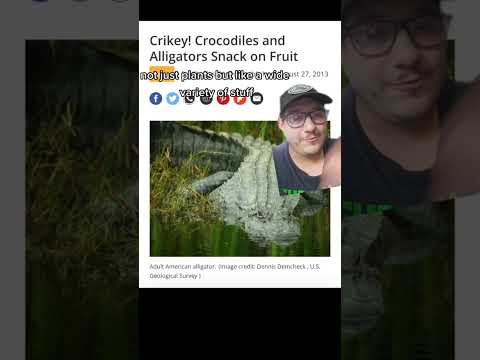 Alligators eat whatever they want... including fruit