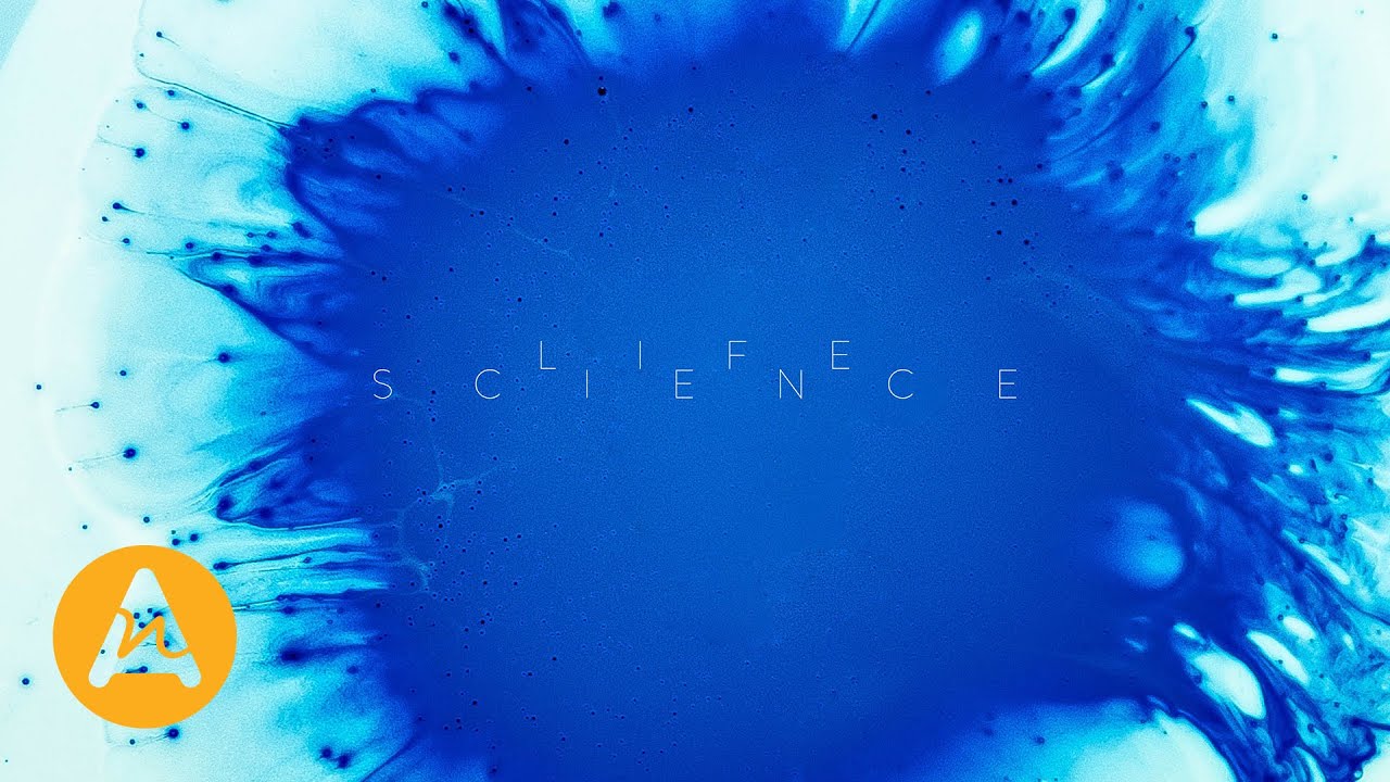 Binary Code (Life Science) | Philip Guyler