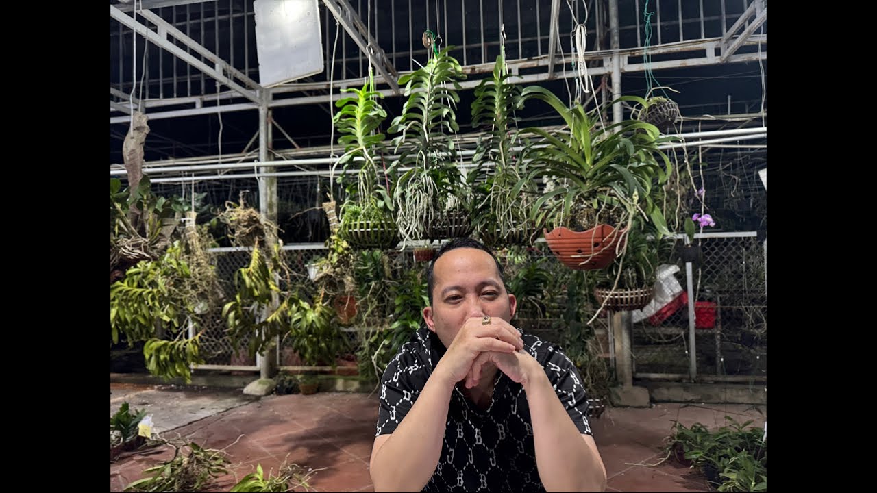 23/4 CÁO, KOKI, HÀI HẰNG - HƯƠNG, NHẠN T4 - 8, QUẾ, DA BÁO 0906110068