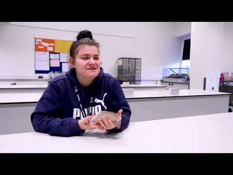 Animal Science Department | Nottingham College